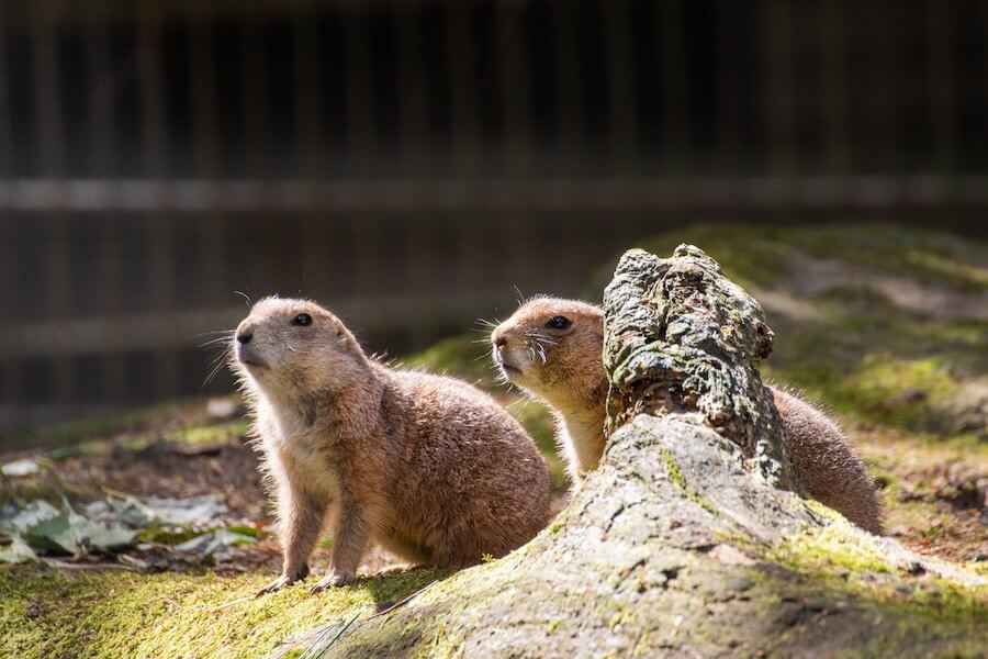 Top 10 core Java concepts - Tabnine